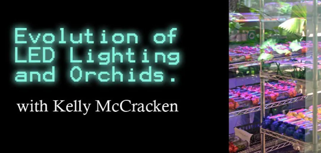 Evolution of LED Lighting - American Orchid Society