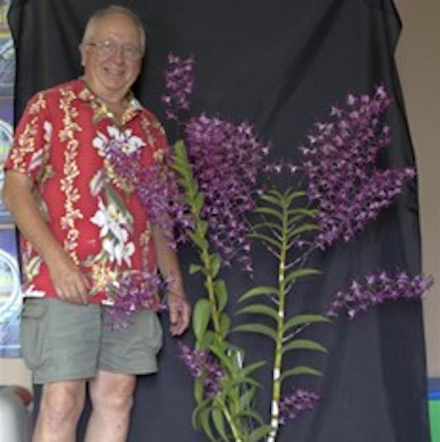 Kim Feddersen - American Orchid Society