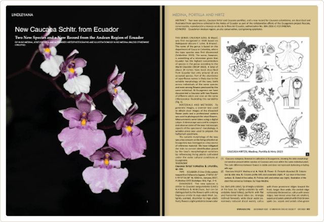 Orchids Magazine Overview - American Orchid Society