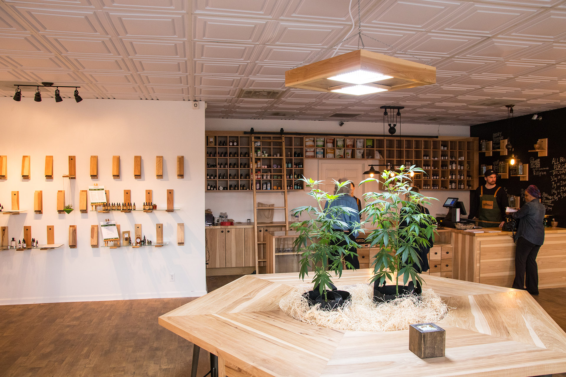 Shop Online CBD, Hemp and Other Health Products | Apotheca