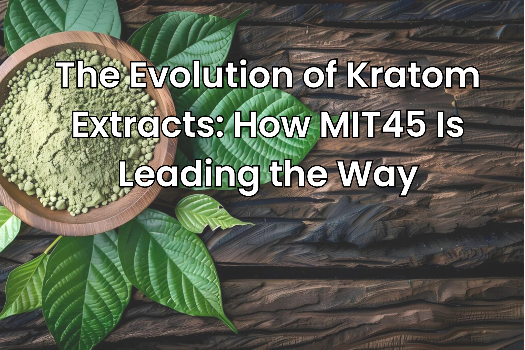 The Evolution of Kratom Extracts: MIT45's Innovative Leadership