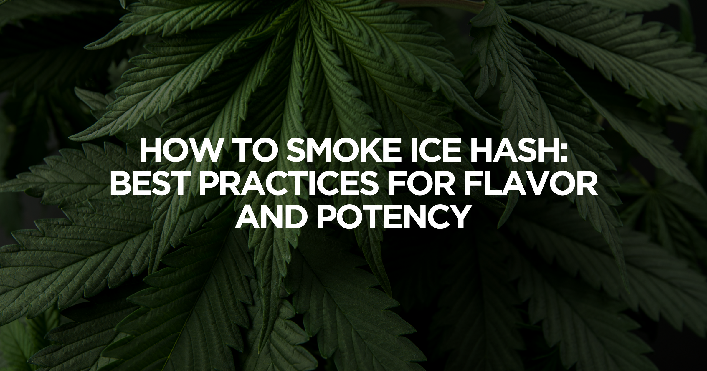 How to Smoke Ice Hash for Best Flavor & Potency