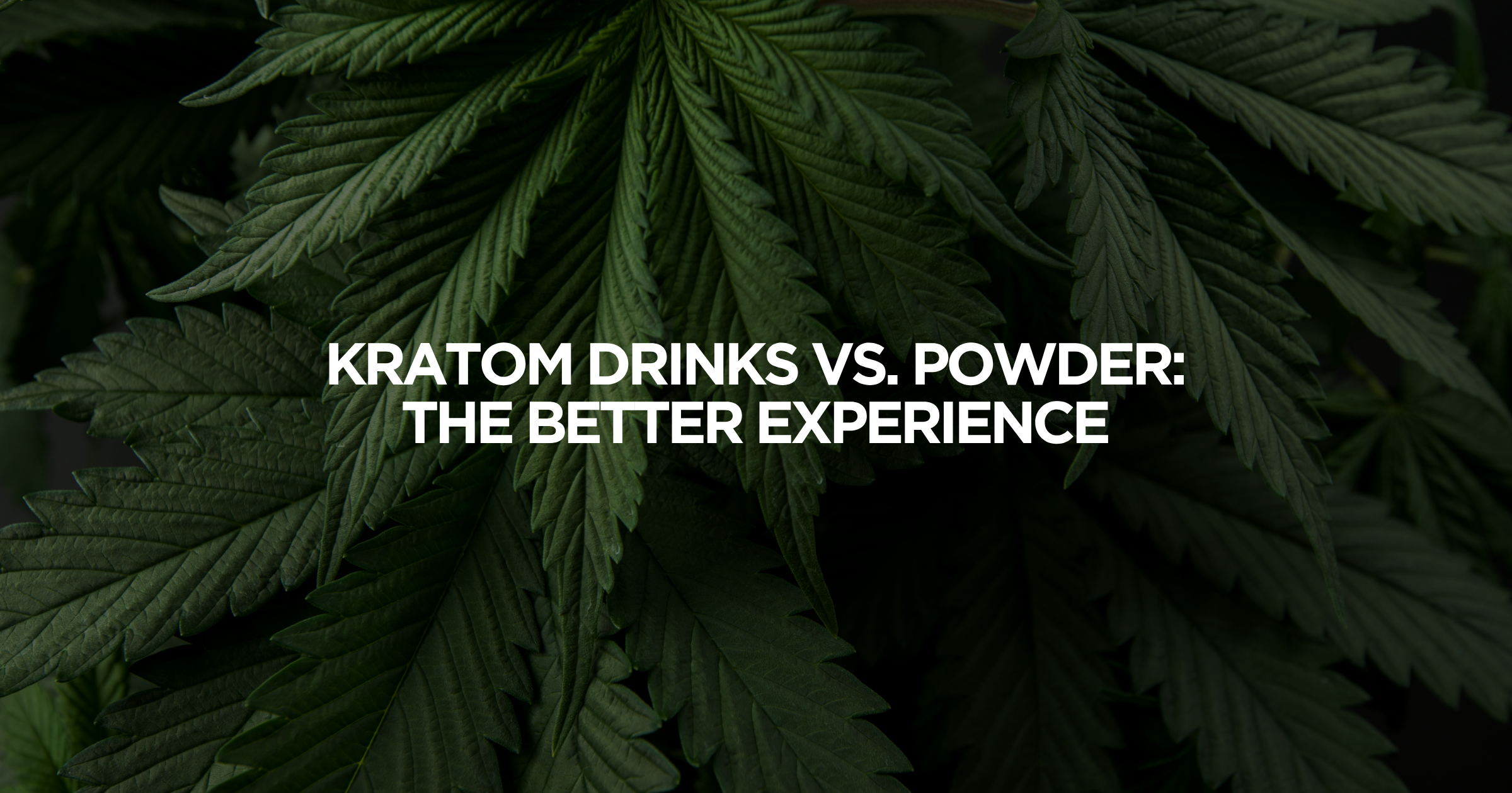 Kratom Drinks vs. Powder: Which Delivers a Better Experience?