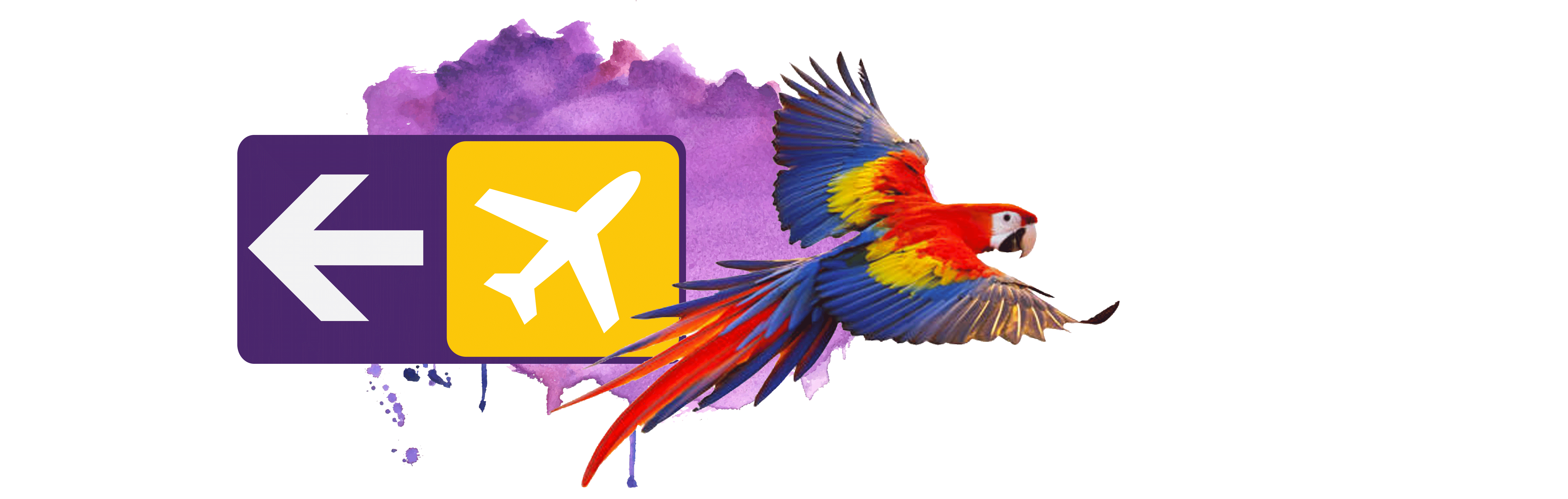 Prepara tu Viaje: Realiza tu Check-in con Arajet