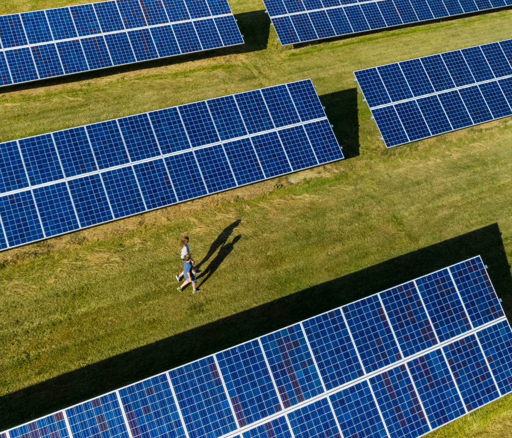 Community solar for homes | Arcadia