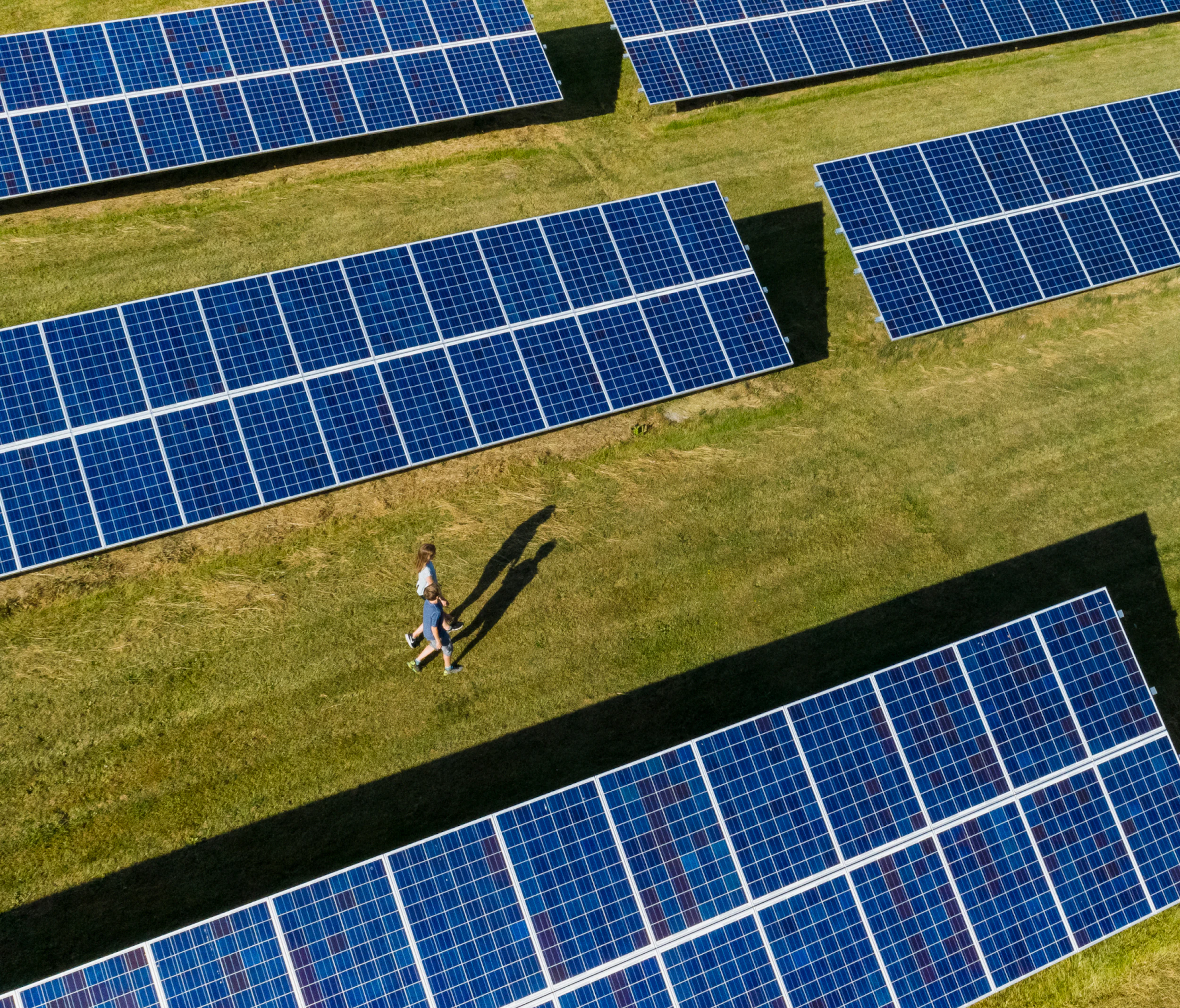 Community solar for homes | Arcadia