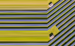 Community solar | Arcadia