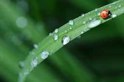 15 Key Facts and Statistics About Acid Rain | Arcadia