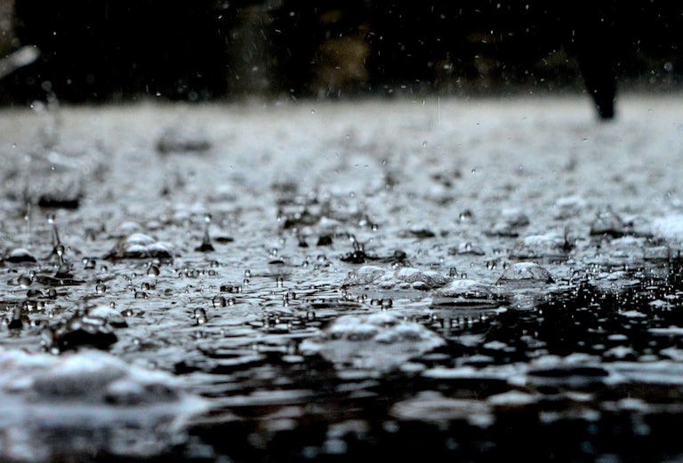 15 Key Facts and Statistics About Acid Rain | Arcadia