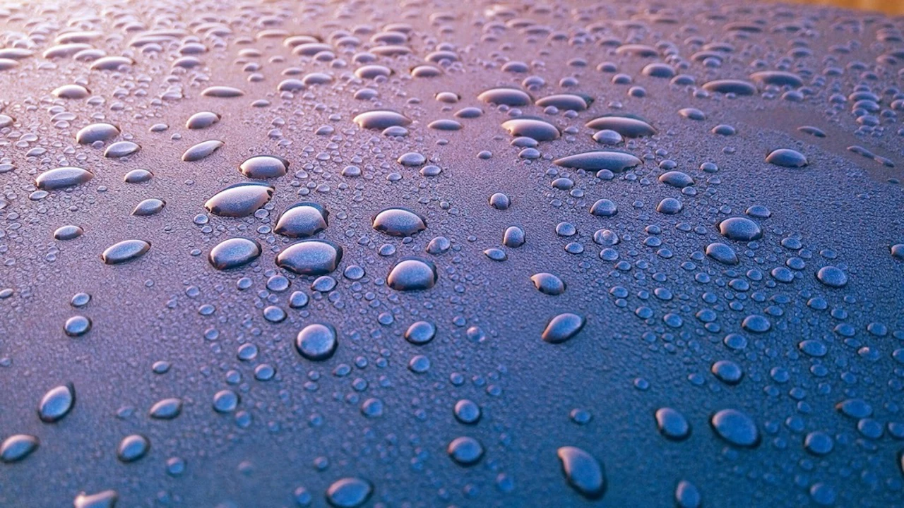 15 Key Facts and Statistics About Acid Rain | Arcadia