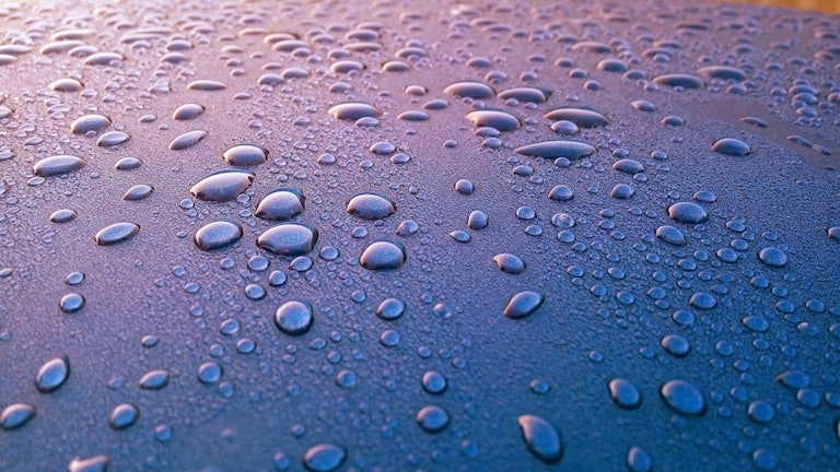 15 Key Facts and Statistics About Acid Rain | Arcadia