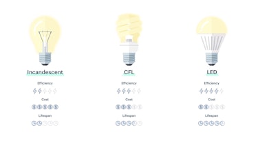 LED vs. regular lightbulbs: Do they really make a difference? | Arcadia