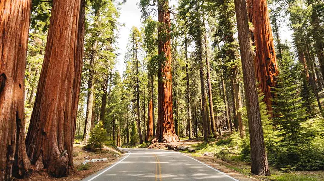 How to enjoy and protect our national parks | Arcadia