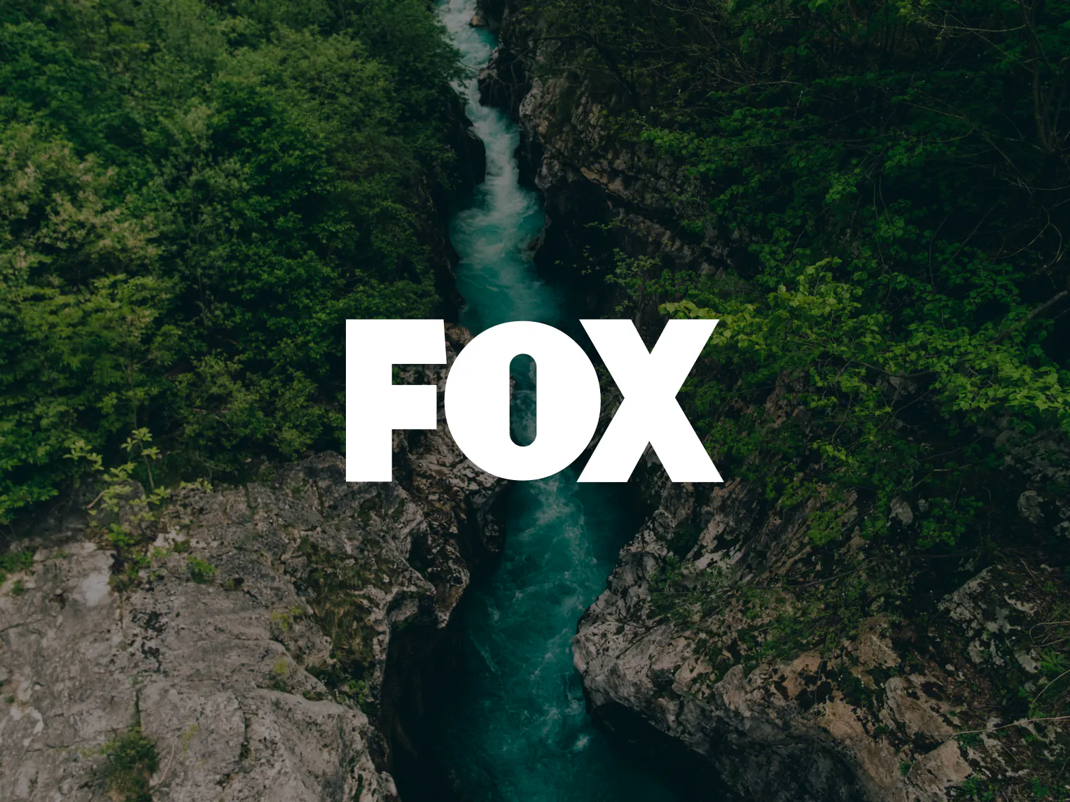 Fox automates energy data collection to support sustainability ...