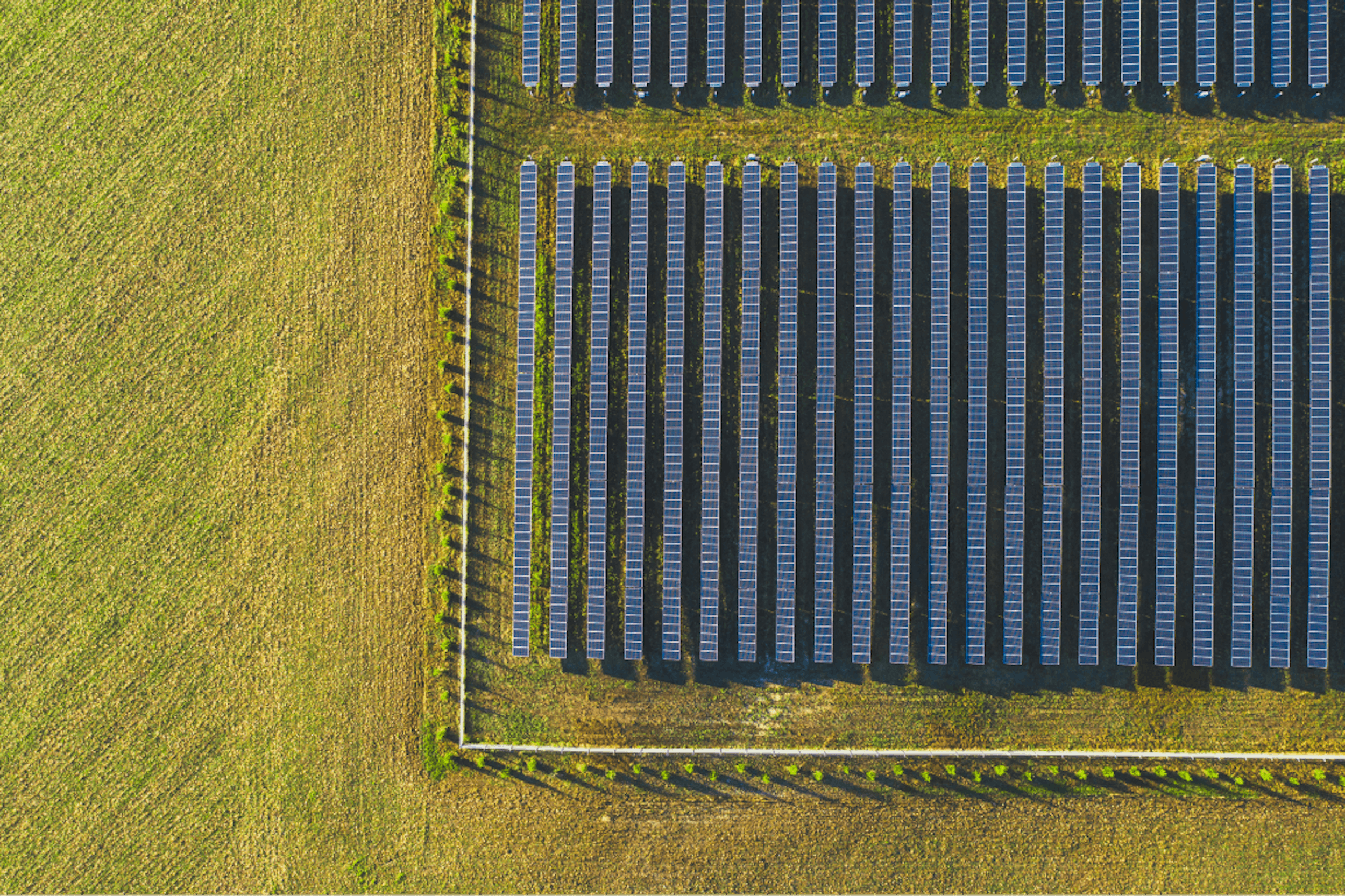 Community solar | Arcadia