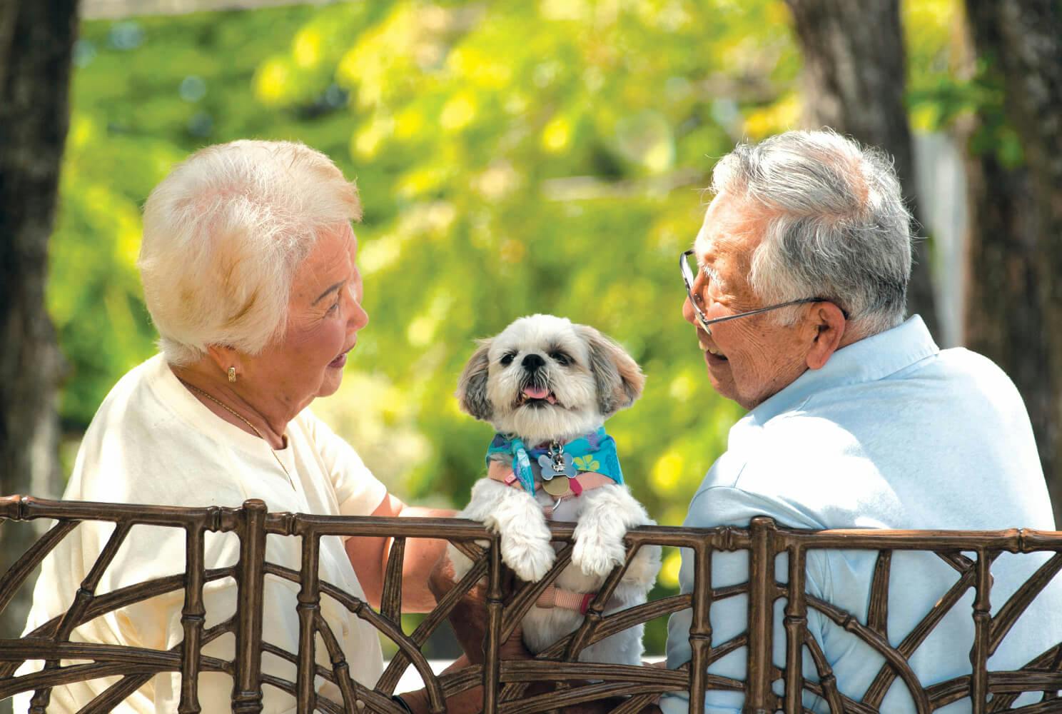 Oahu Retirement Homes & Communities at 15 Craigside | Arcadia