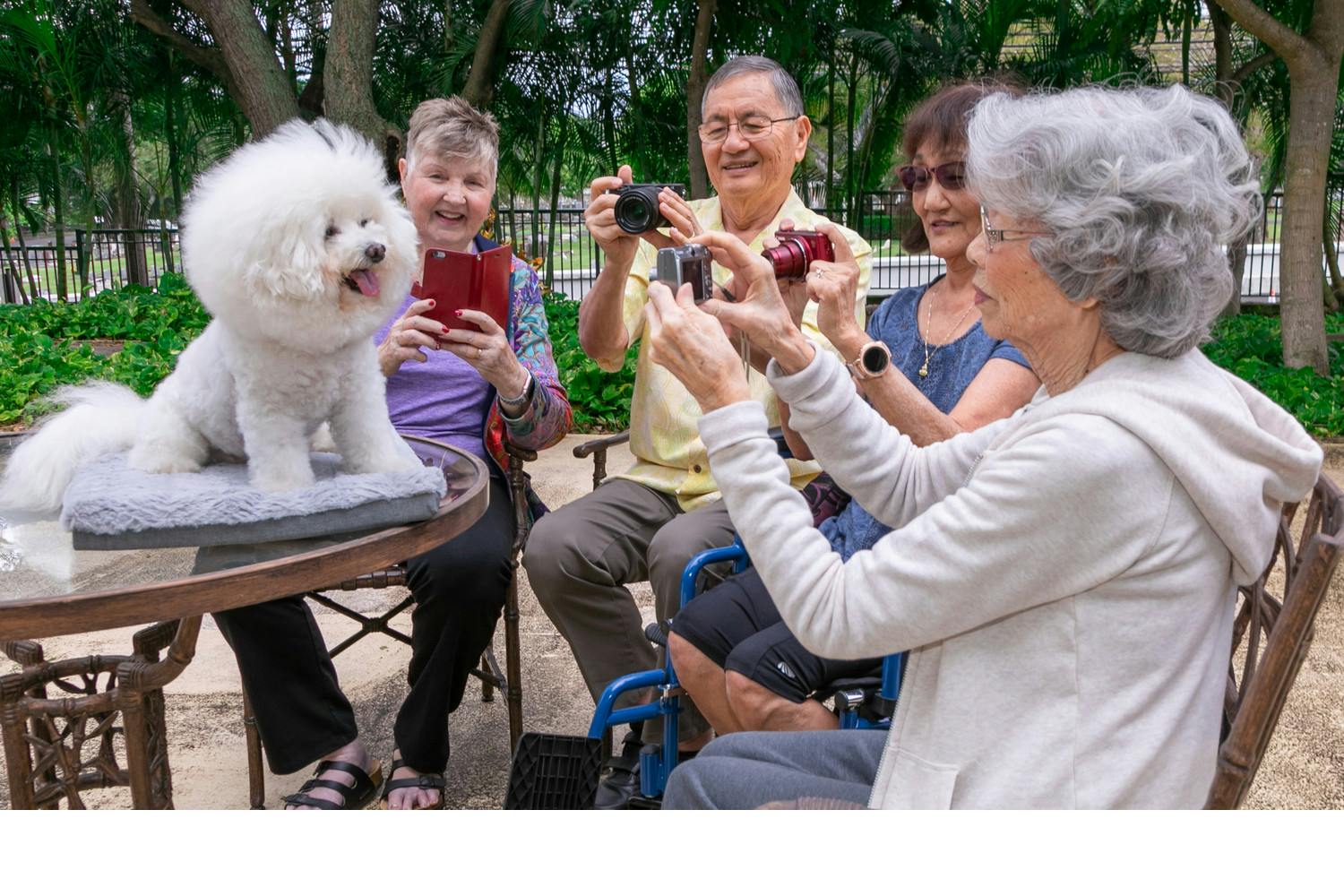 Oahu Retirement Homes & Communities at 15 Craigside | Arcadia