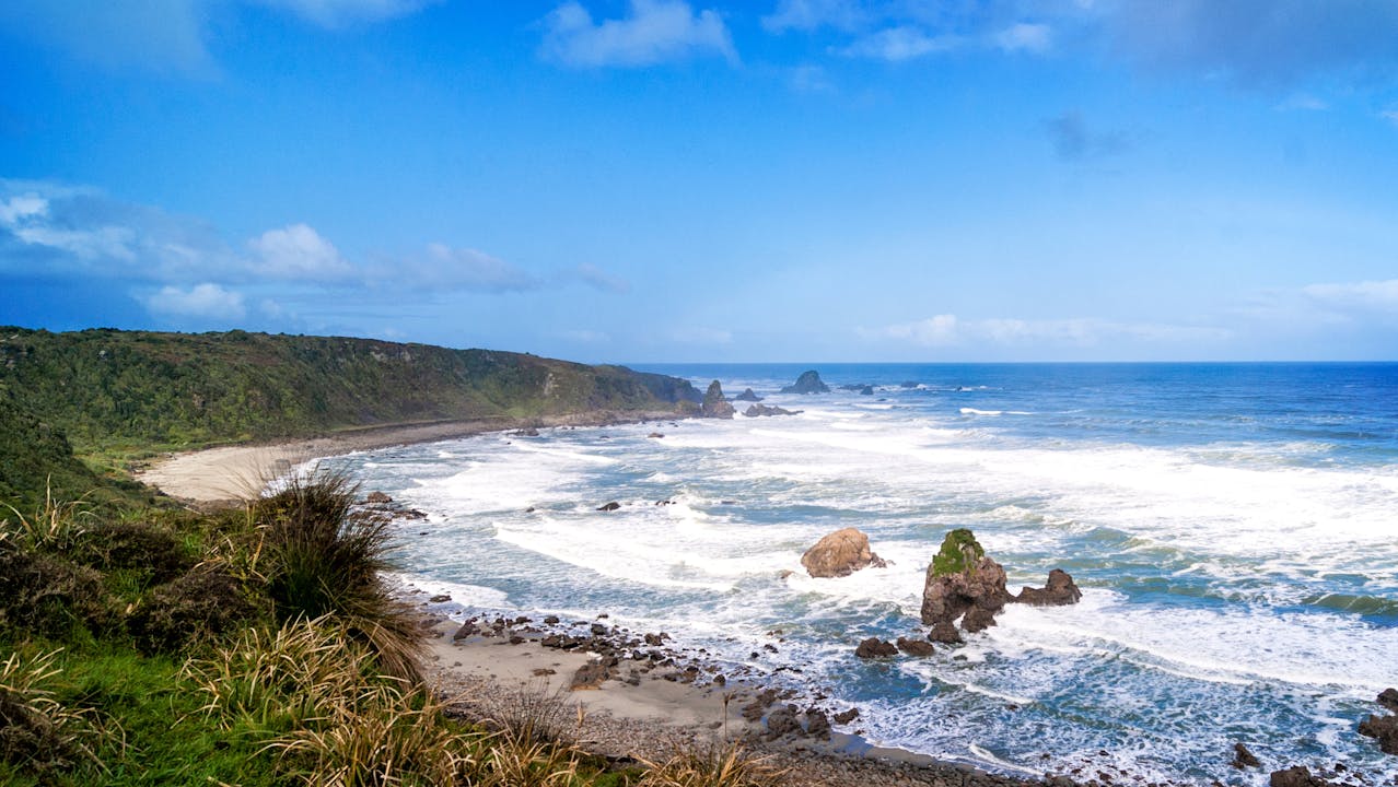 Hinemoana Halo: Māori-led Ocean Solutions and Nature Positive Carbon++ ...