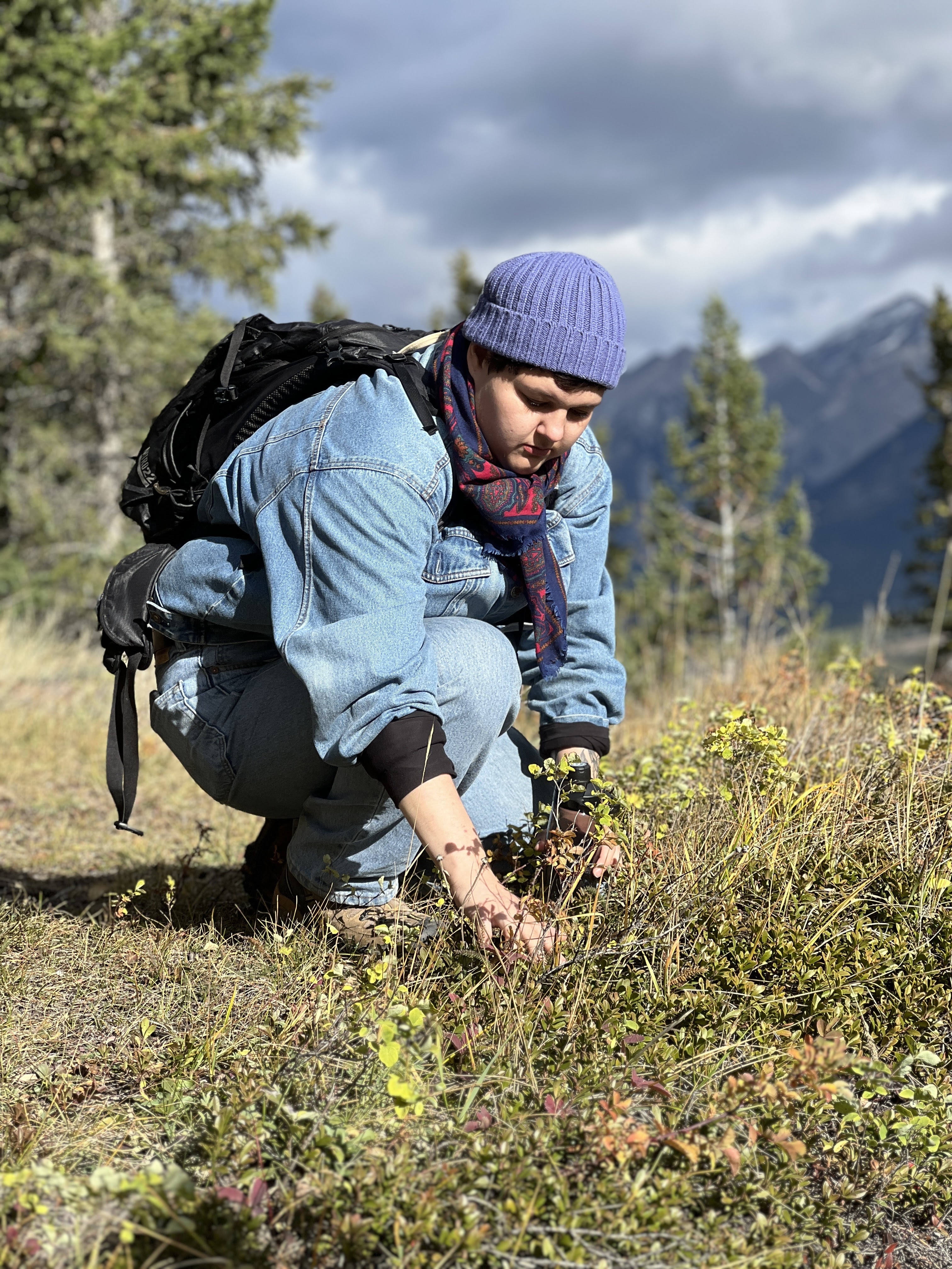 artsPlace - Howl & Soul Presents: Indigenous Film Night