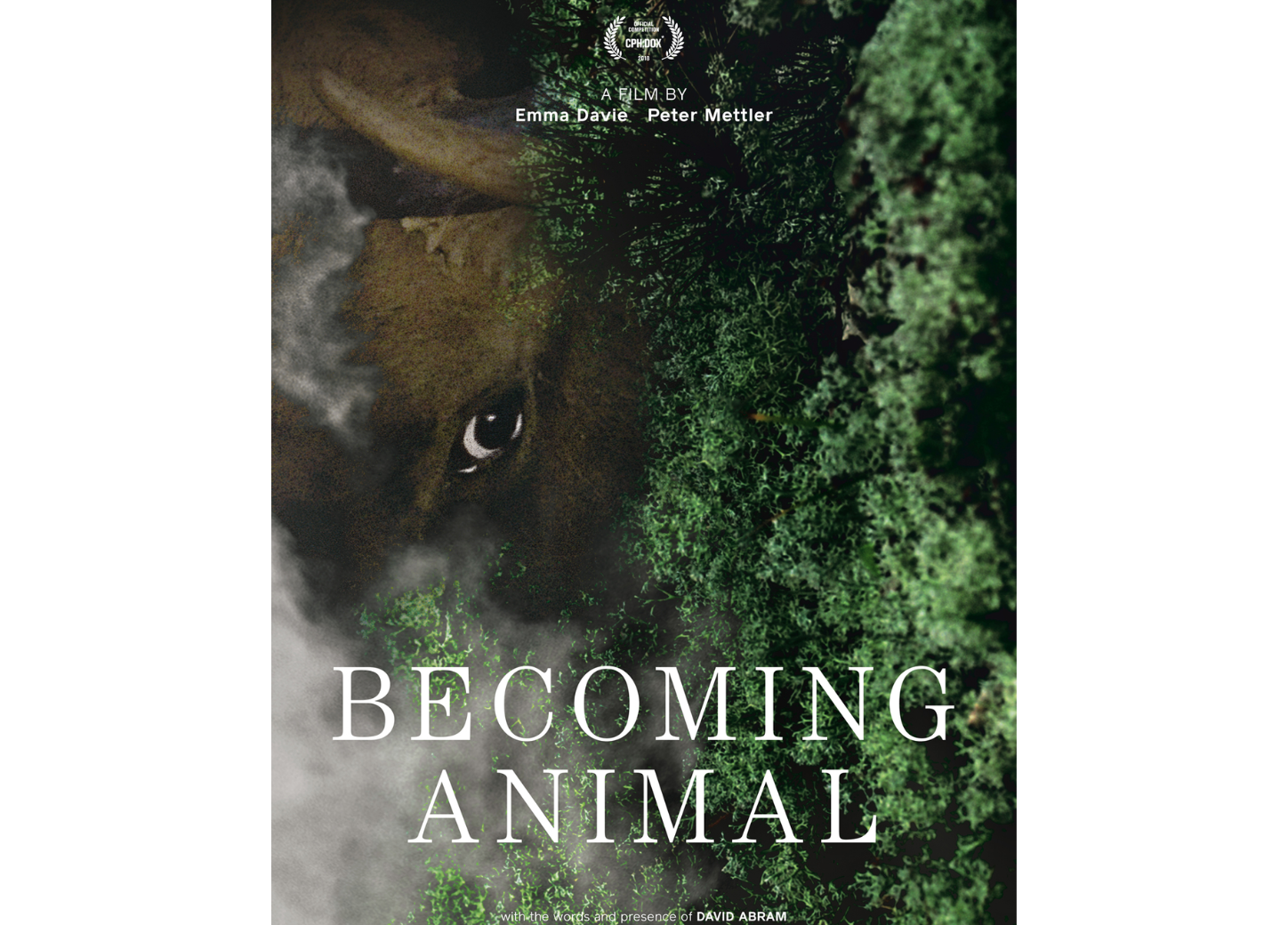 artsPlace - Becoming Animal
