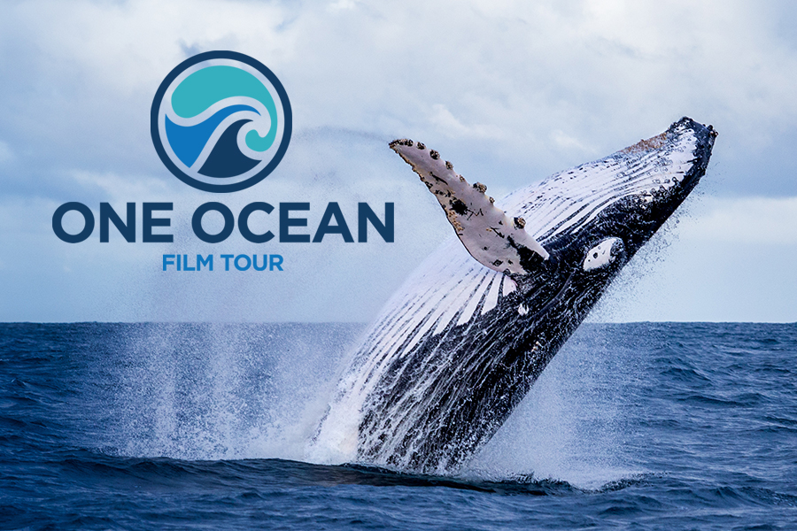 artsPlace - One Ocean Film Tour Vol. 3
