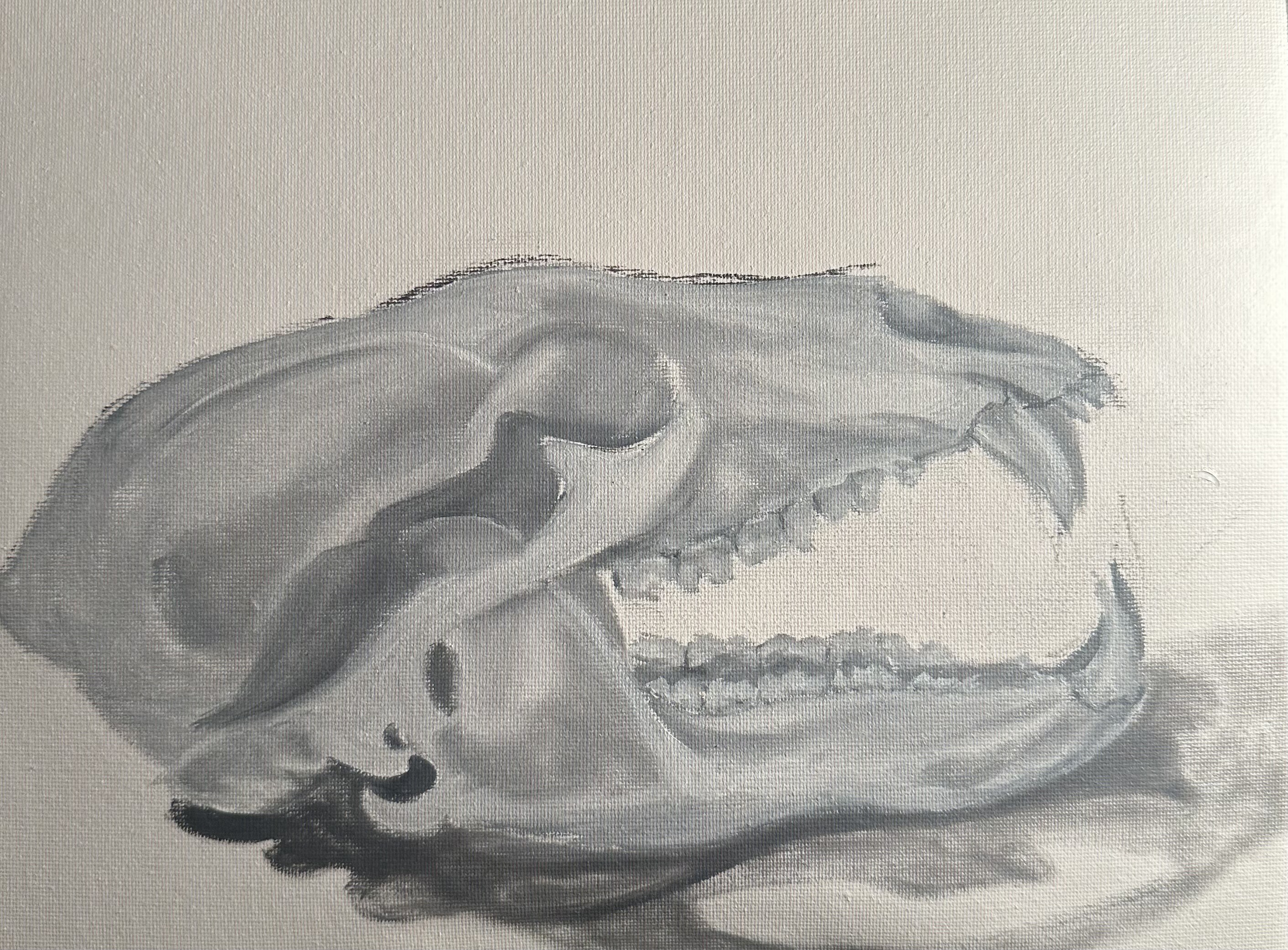 artsPlace - Still Life Drawing: Predators - class at artsPlace