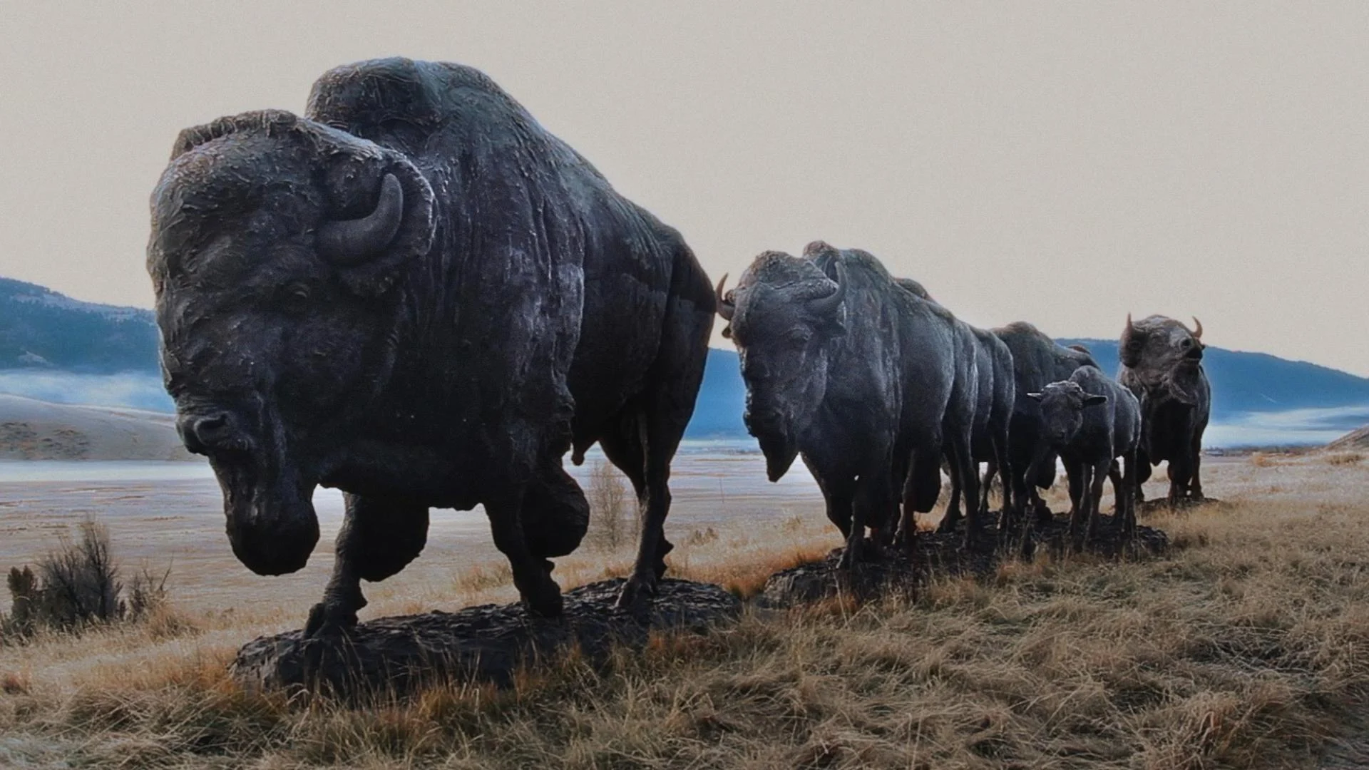 artsPlace - There is a Place on Earth - Movie screening at artsPlace