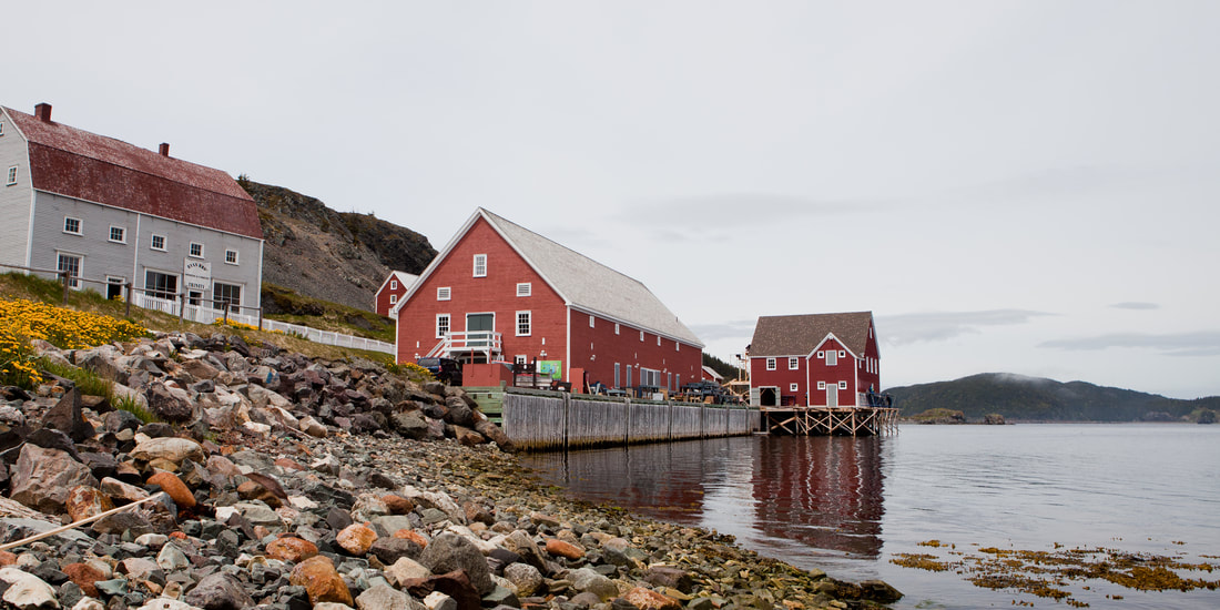 artsPlace - Win a Trip to Newfoundland and Labrador!