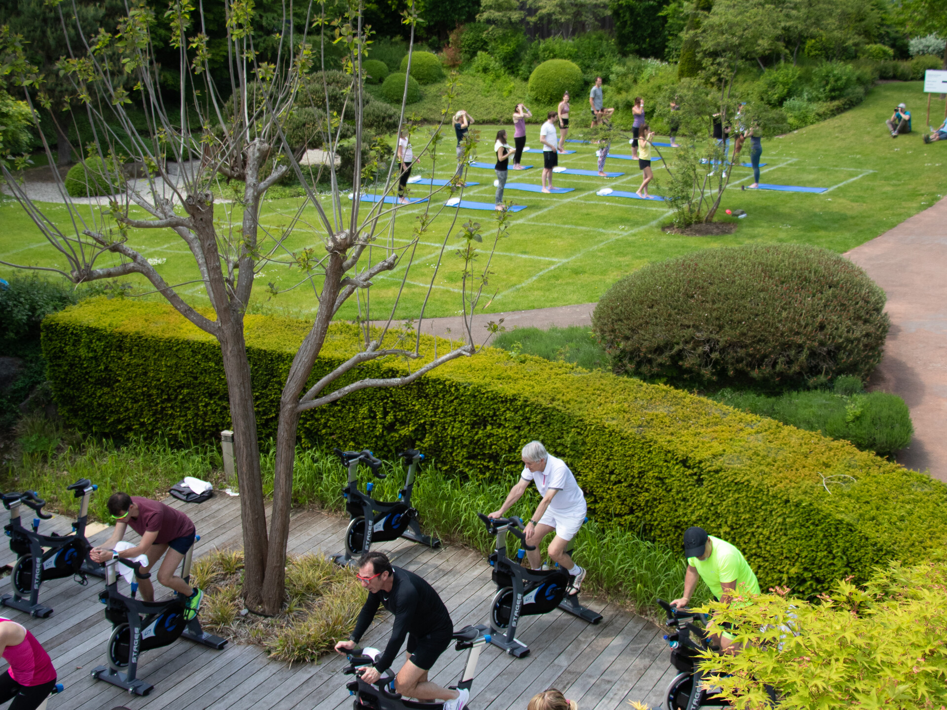 Fitness | Aspria Royal la Rasante