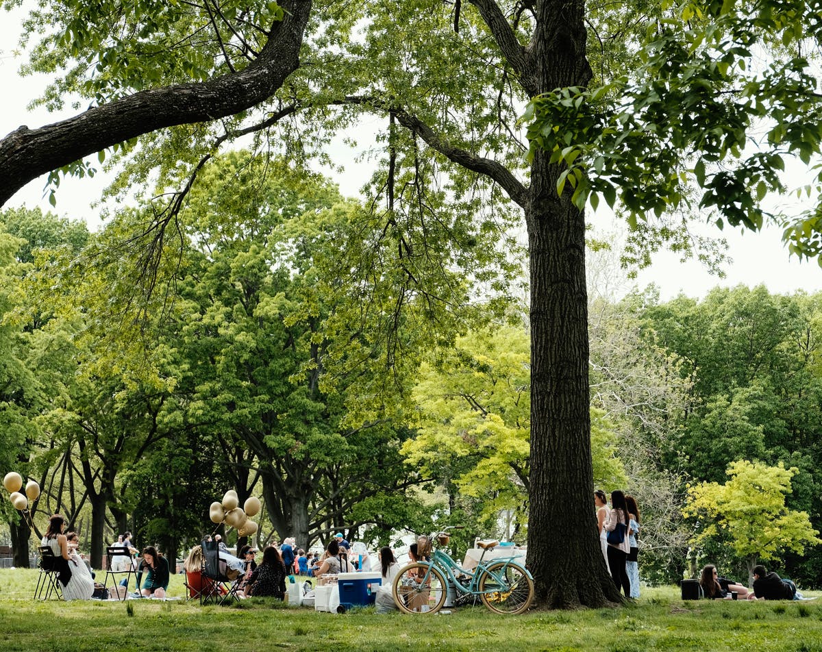 ASTORIA WEST | Astoria Queens Waterfront Apartments - Neighborhood
