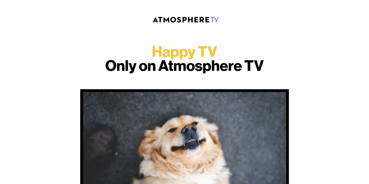 Happy TV | Atmosphere TV for Your Business
