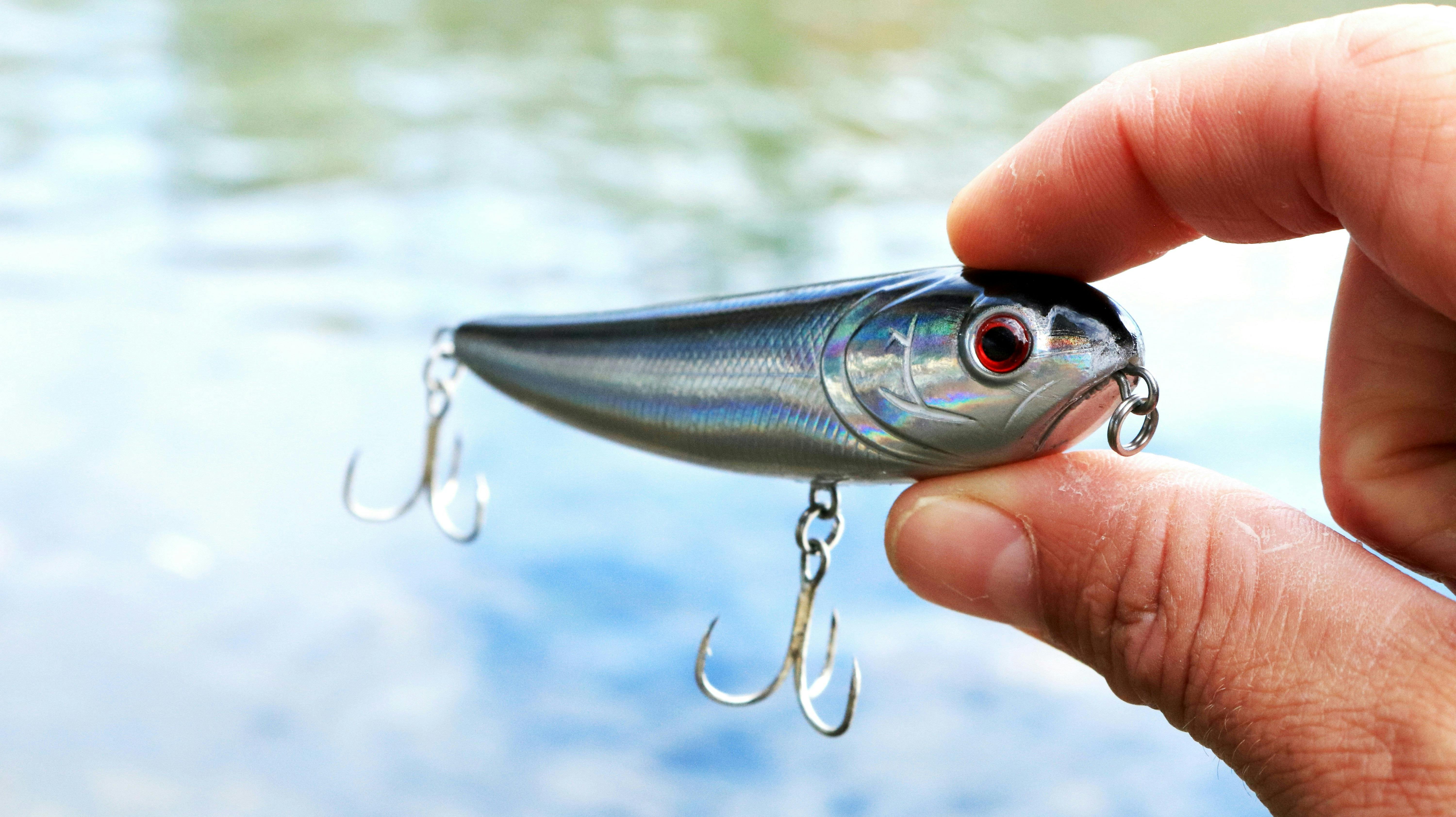 Уловки фишеров: как не клюнуть на фальшивый сайт