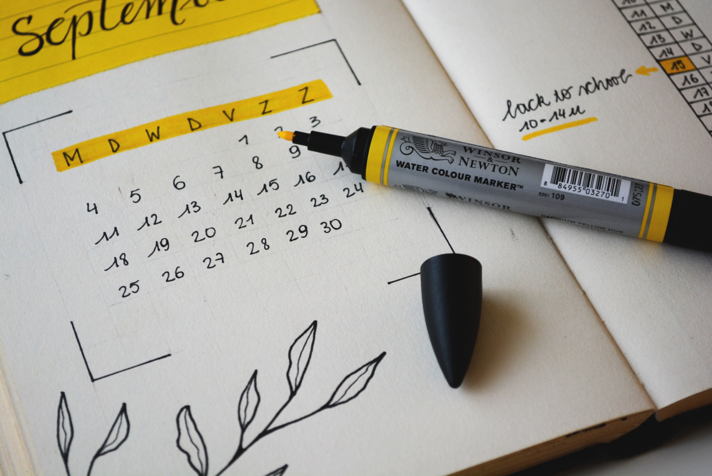Content plan: how-to, types and examples