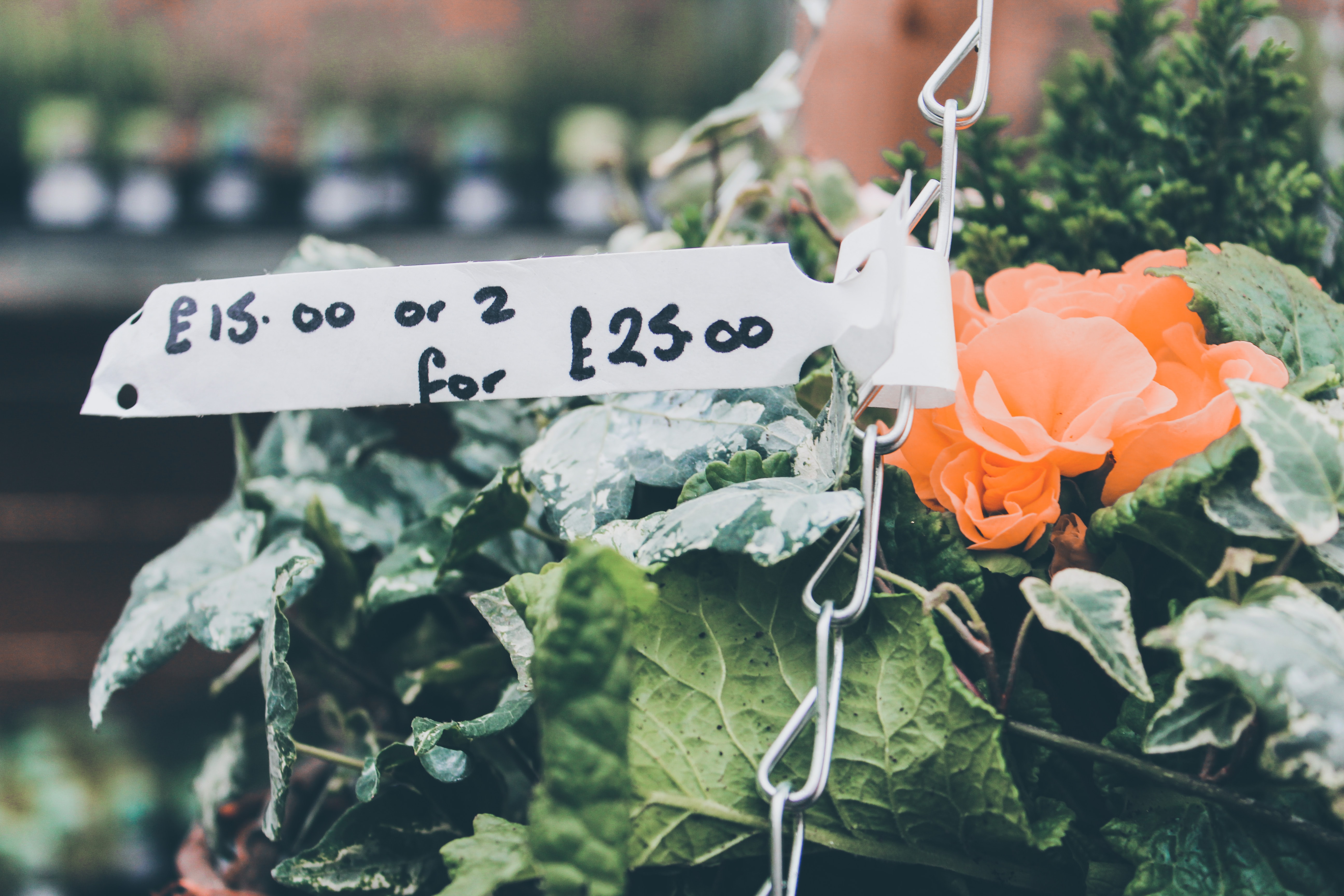Essential guide to pricing strategy: how to, types and examples