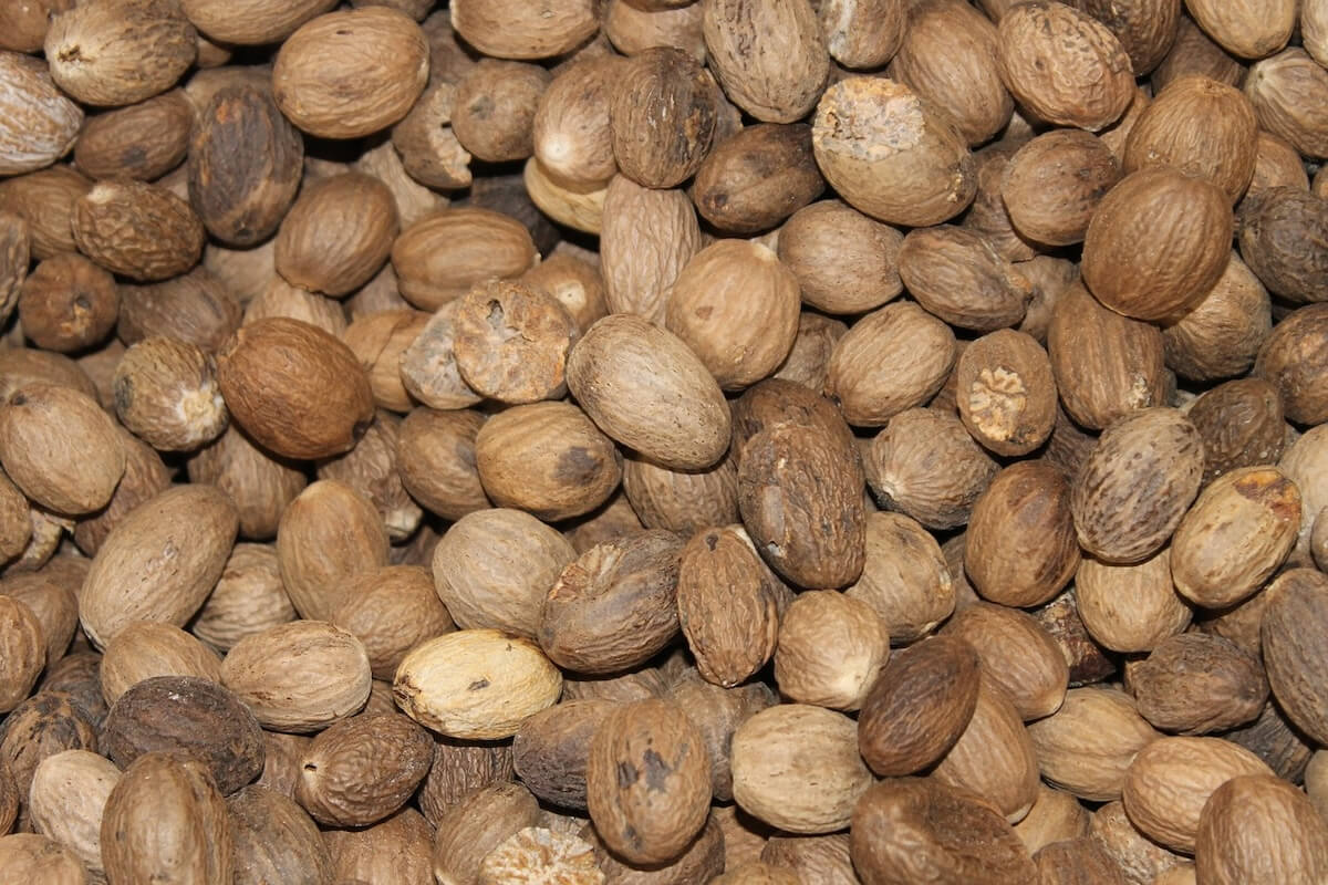 Muskatnuss (Jaiphal) | Ayurveda Klinik