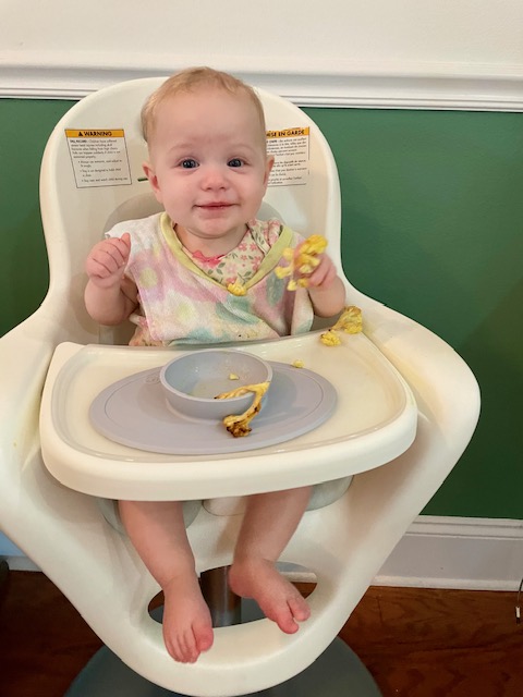 Baby-Led Weaning Program with Katie Ferraro