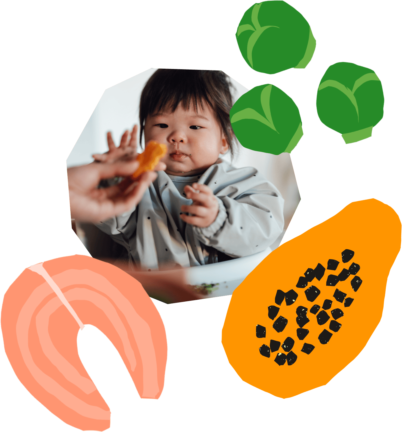 Baby Led Weaning Program With Katie Ferraro Baby Led Weaning Program With Katie Ferraro