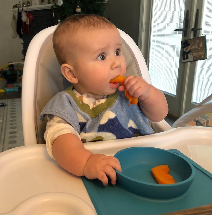Baby-Led Weaning Program with Katie Ferraro