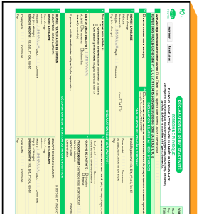Formulaire P0i (Cerfa 11921*07) | Comment le remplir