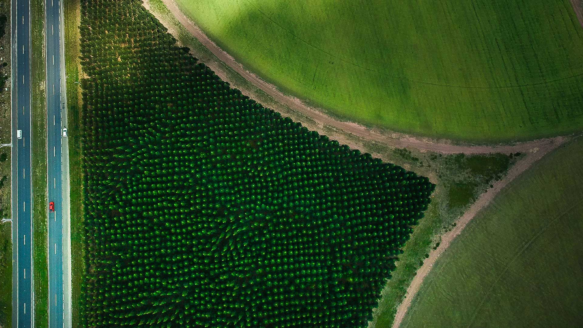 Jump-start your sustainability road map with an ESG maturity assessment ...