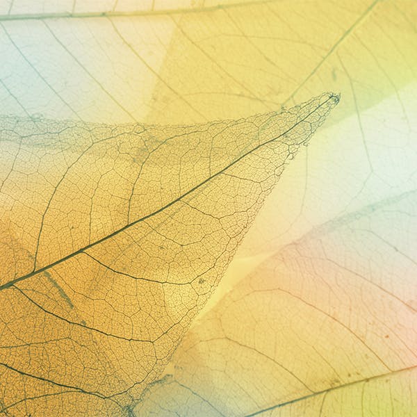 Accounting for equity interests other than the consolidation model ...