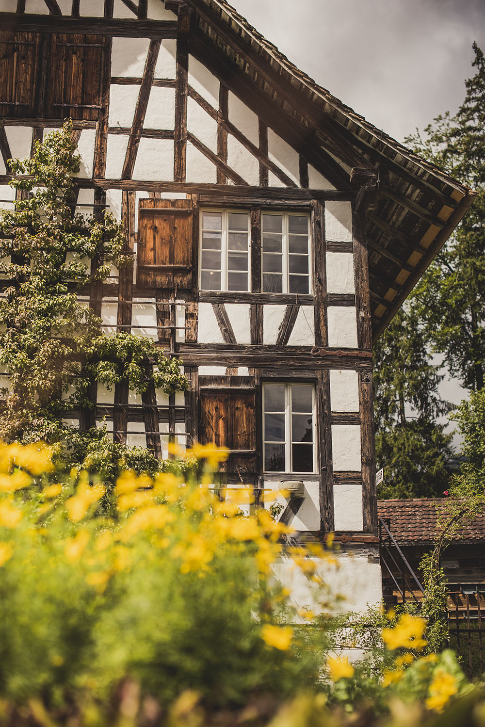 Weinbauernhaus Richterswil ZH um 1780