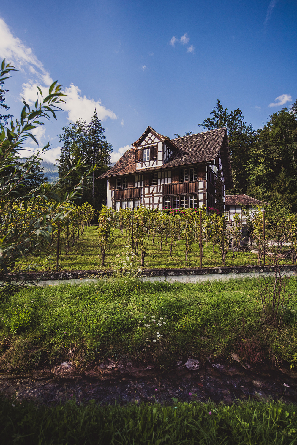 Vintner's House Richterswil ZH around 1780
