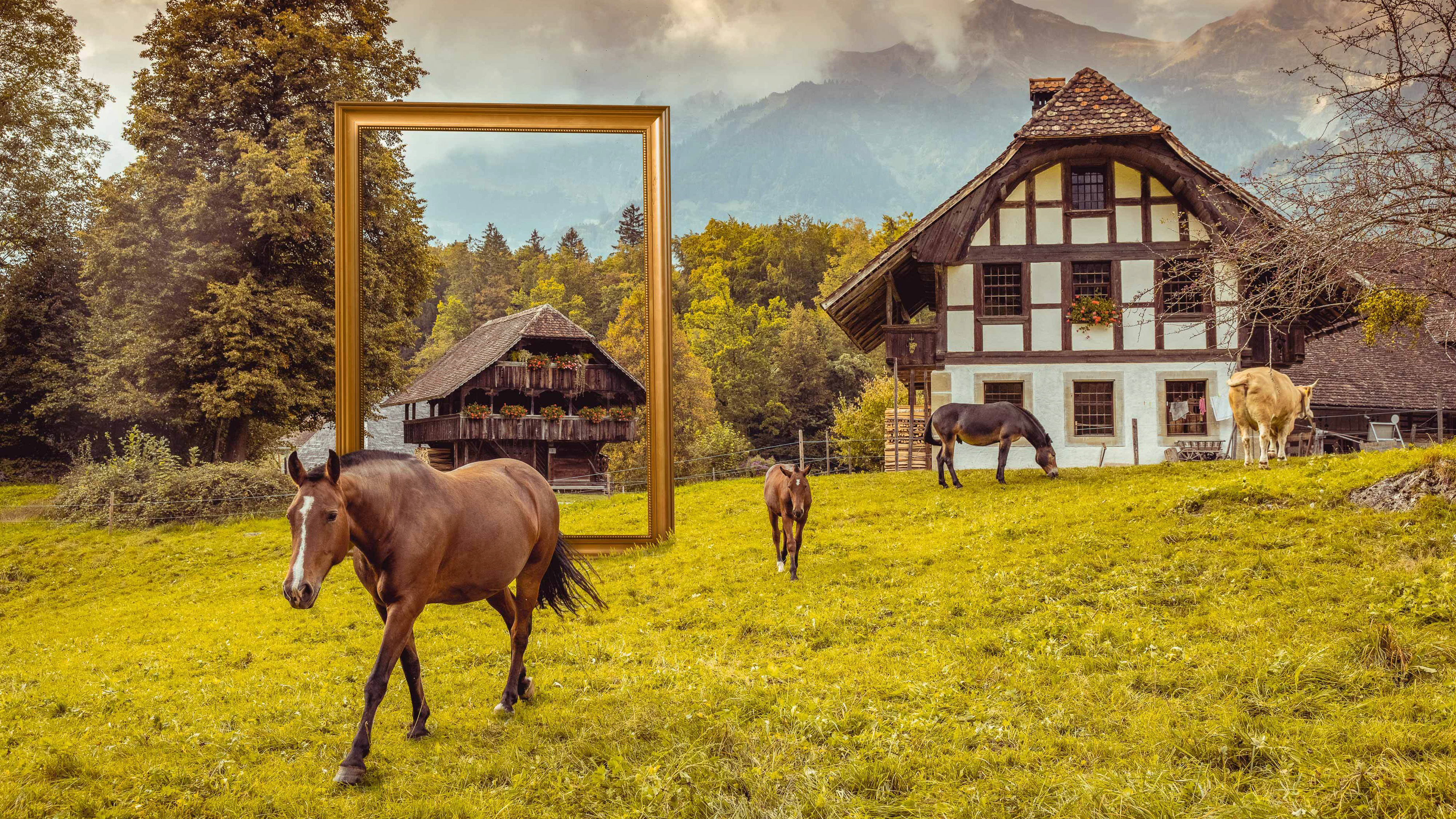 Ballenberg, Swiss Open-Air Museum
