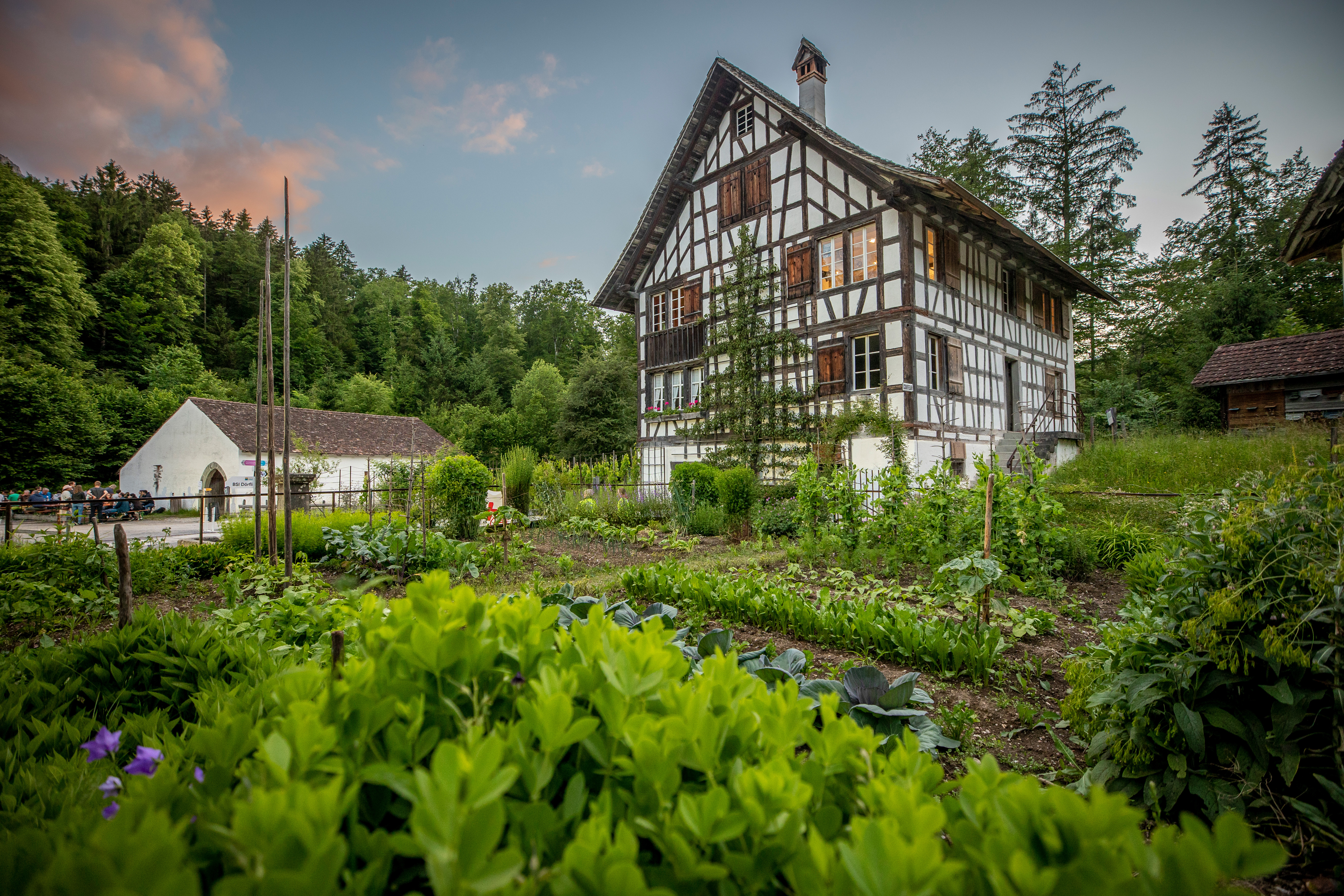 Unterstützen Sie das Freilichtmuseum Ballenberg