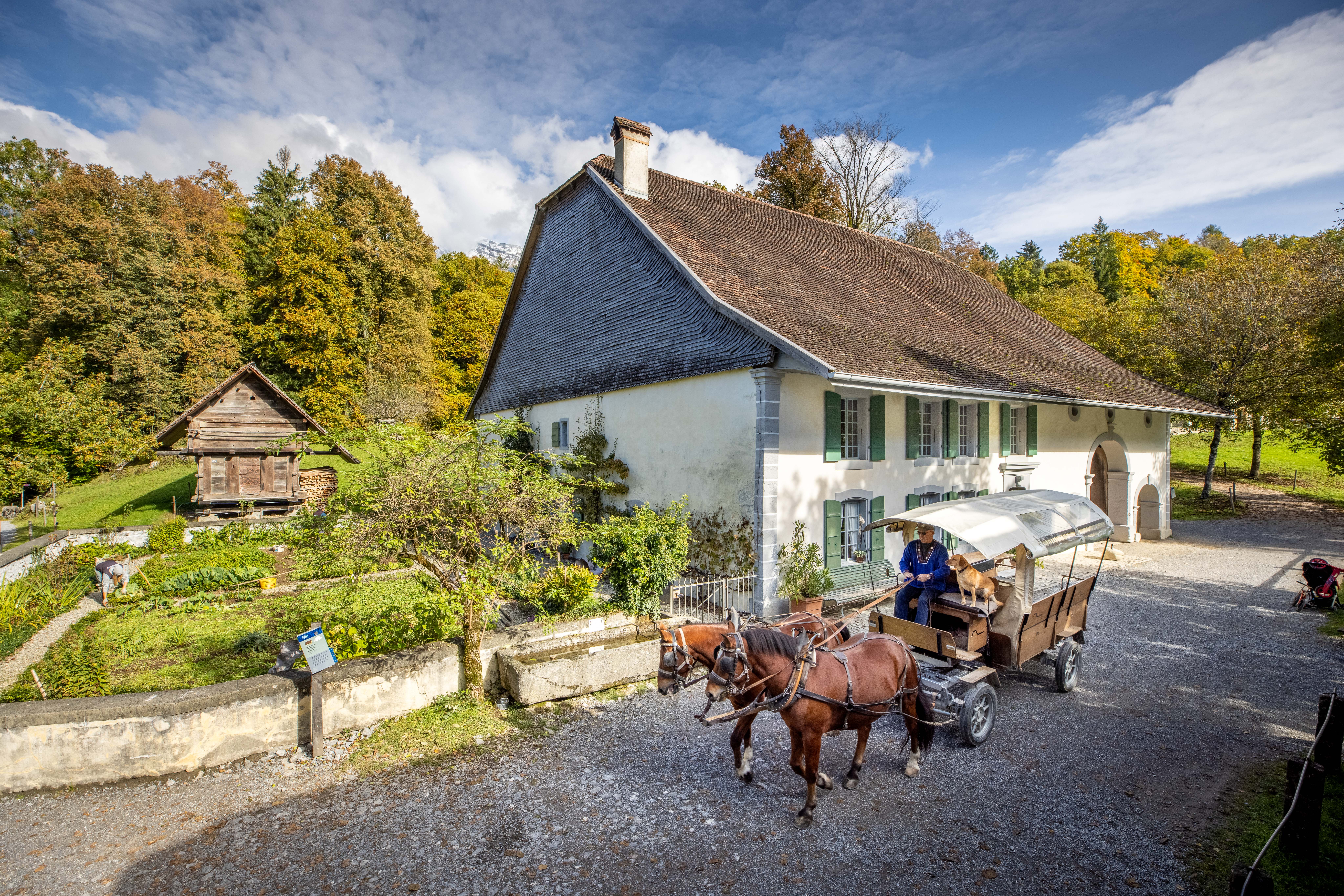 Entdecken Sie das Freilichtmuseum Ballenberg