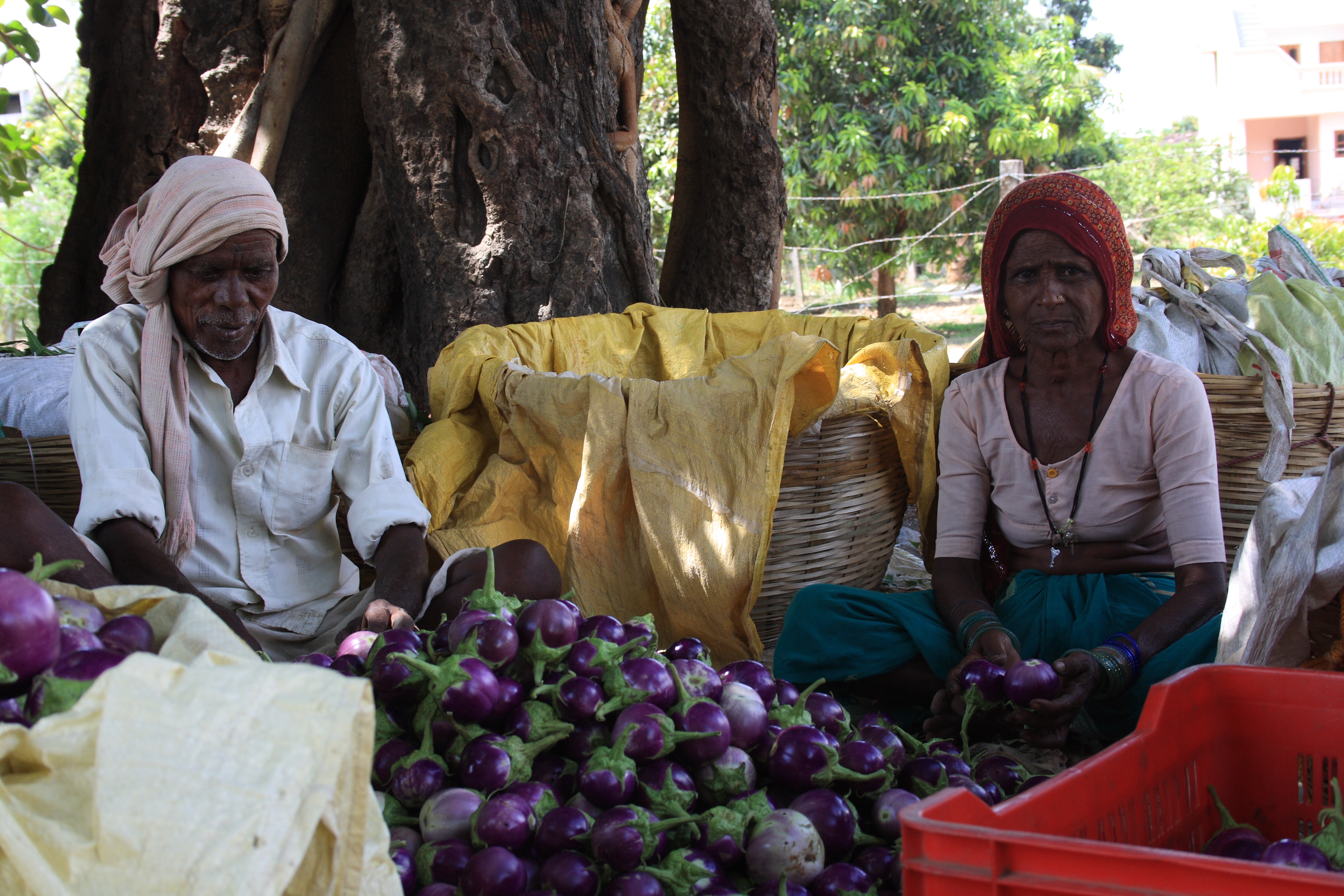 What are key steps the World Bank must take to make its Gender Strategy ...