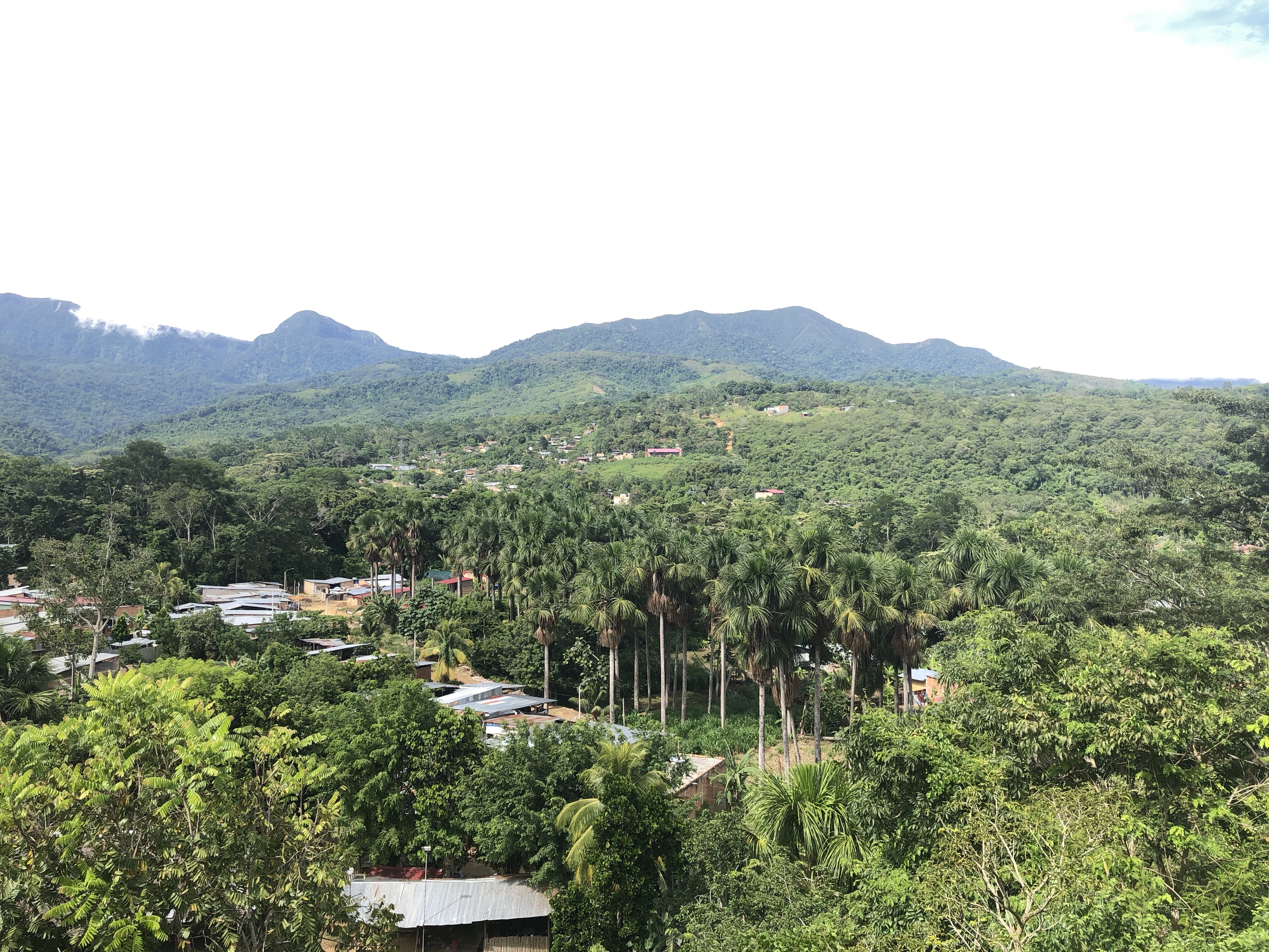 How should multilateral development banks implement their Joint ...