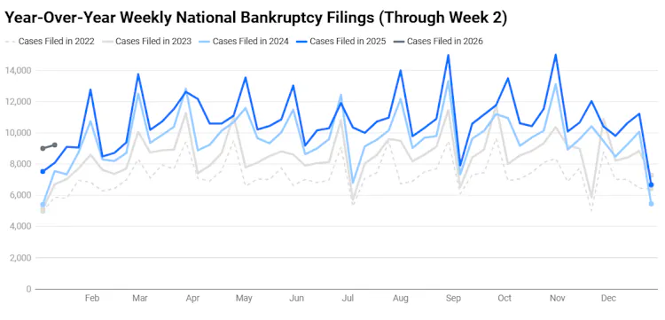 BankruptcyWatch Statistics Reports