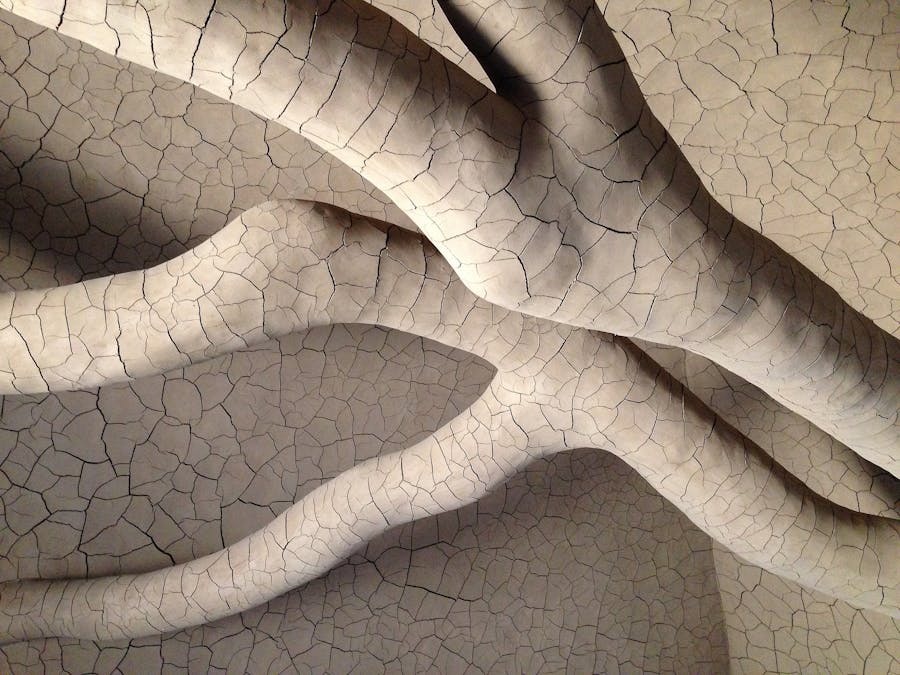 Andy Goldsworthy: Der Künstler, der mit der Natur zusammenarbeitet ...